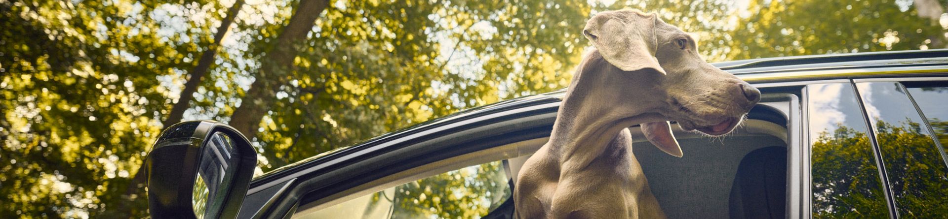 Contact Us | CARWOW LEASEY